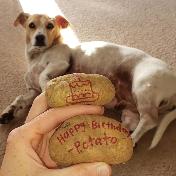 Mail A Custom Anonymous Potato - AnonymousPotato